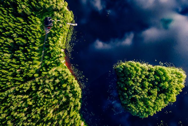 Home | Piper Alderman